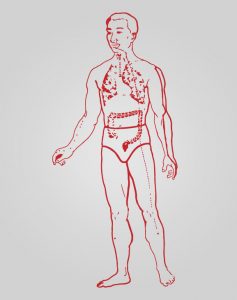 Meridianos dos Pulmões e Intestino Grosso | Medicina Tradicional Chinesa